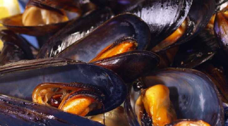 Le cozze sono pericolose mangiate crude… e se sono cotte?