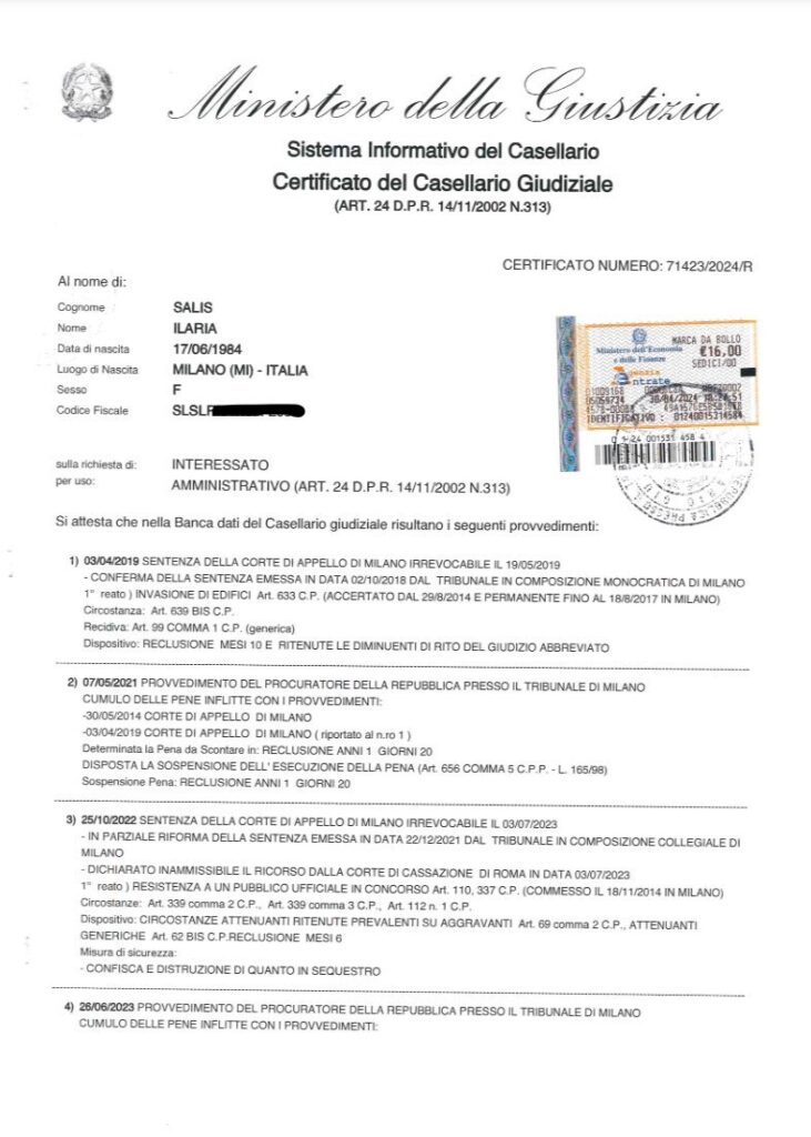 Ilaria Salis pregiudicata: ecco la fedina penale dell'eurodeputata AVS